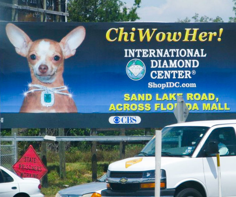 Only in Florida! Funny Photos From Florida