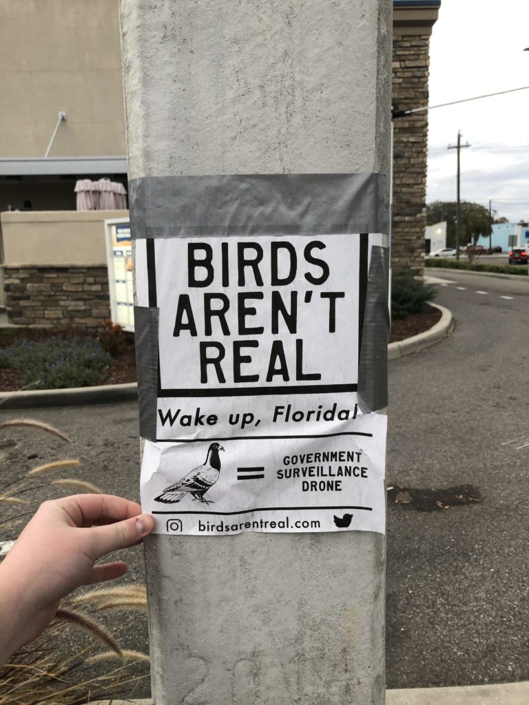 Only in Florida! Funny Photos From Florida